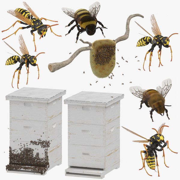 Bee Hive 3D Models for Download | TurboSquid