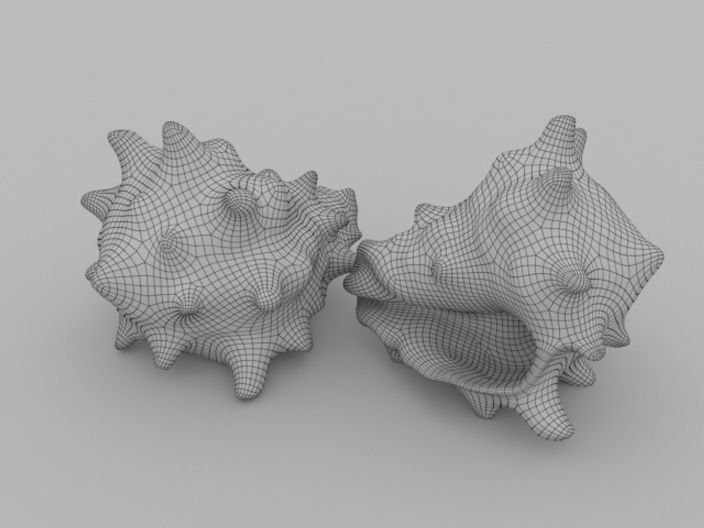3D Sea Seashell - TurboSquid 1420605