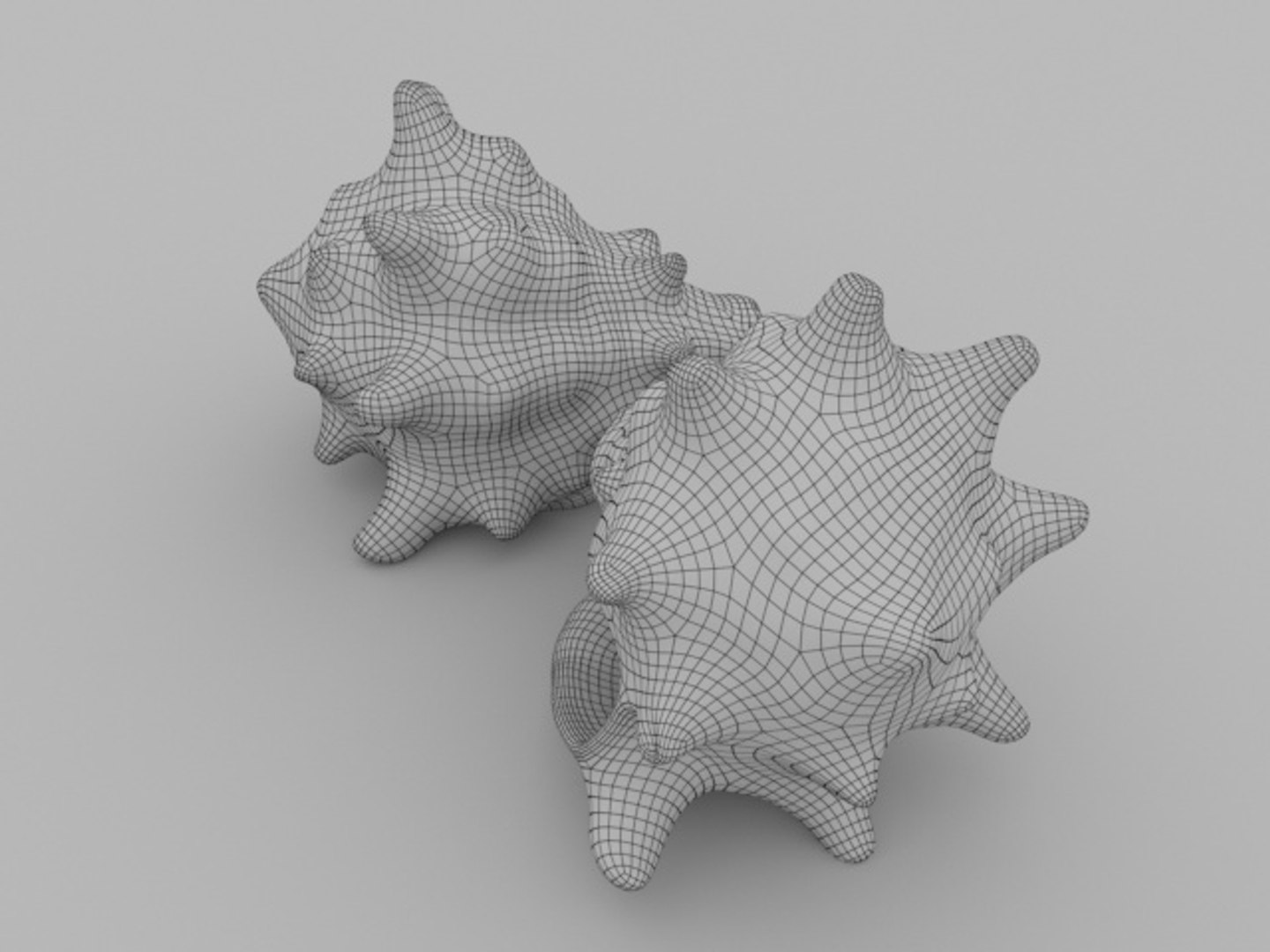 3D Sea Seashell - TurboSquid 1420605