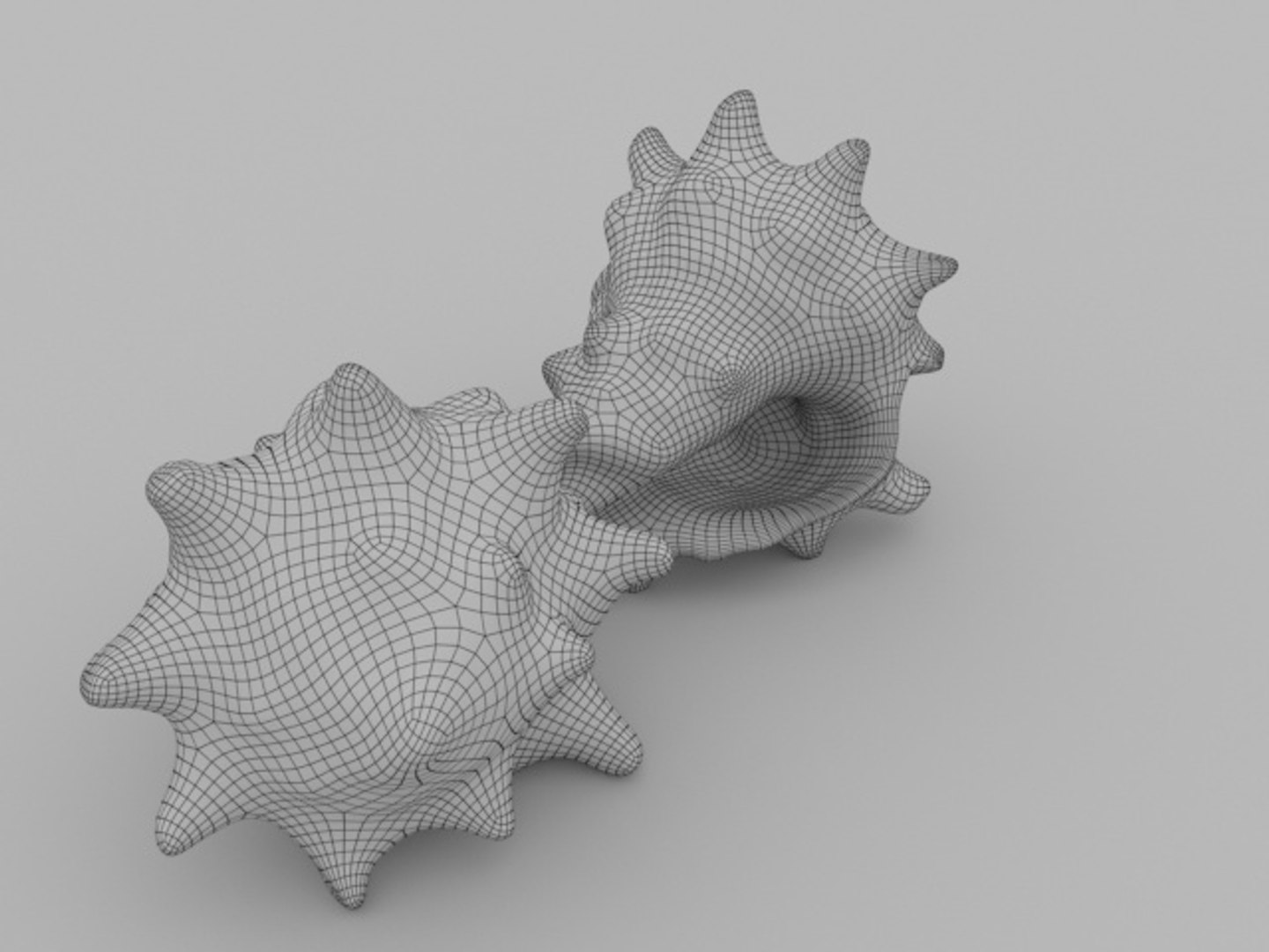 3D Sea Seashell - TurboSquid 1420605