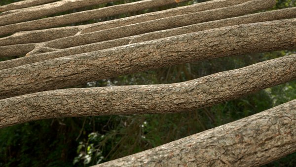 3d model jungle logs