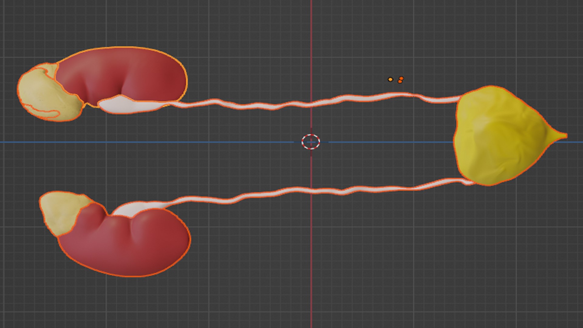 3D Model Of Urinary System Model - TurboSquid 2076873