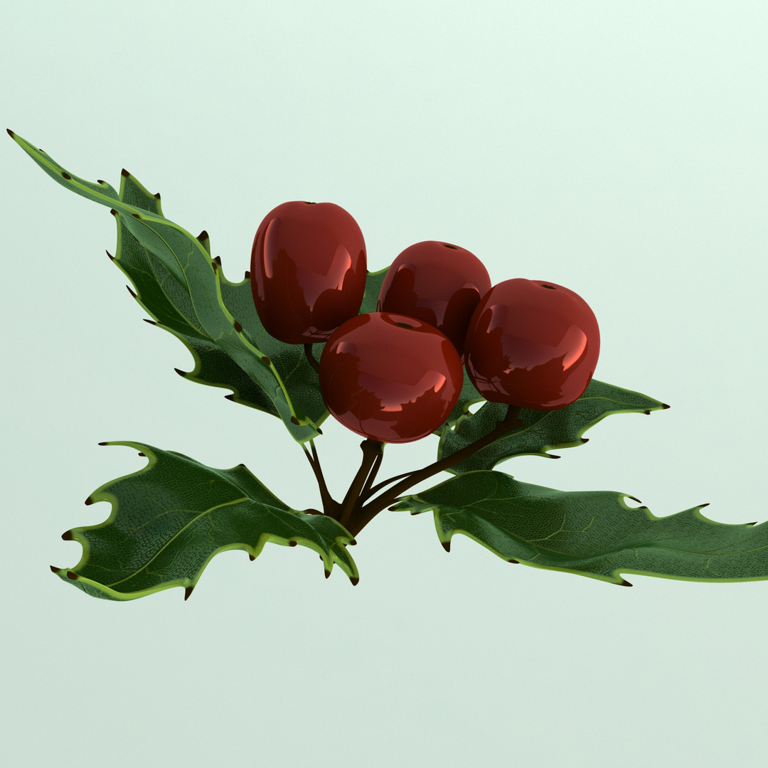 3D holly mistletoe sprig - TurboSquid 1231265