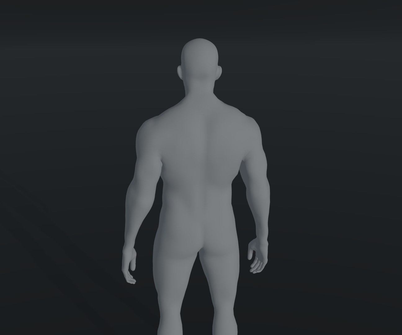 Male Body Base Mesh Animated And Rigged 3D Model 10k Polygons 3D Model - TurboSquid 1864251