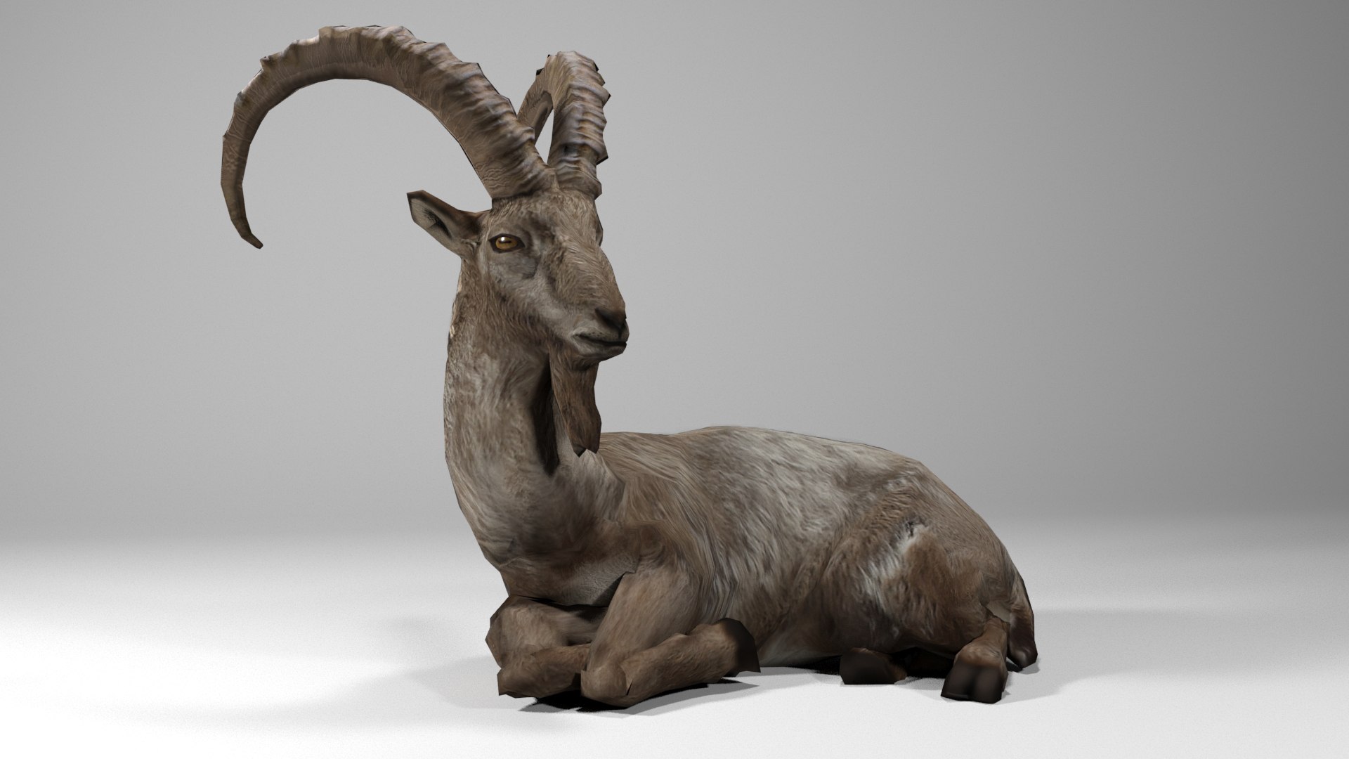 Alpine Ibex 3D - TurboSquid 1913258