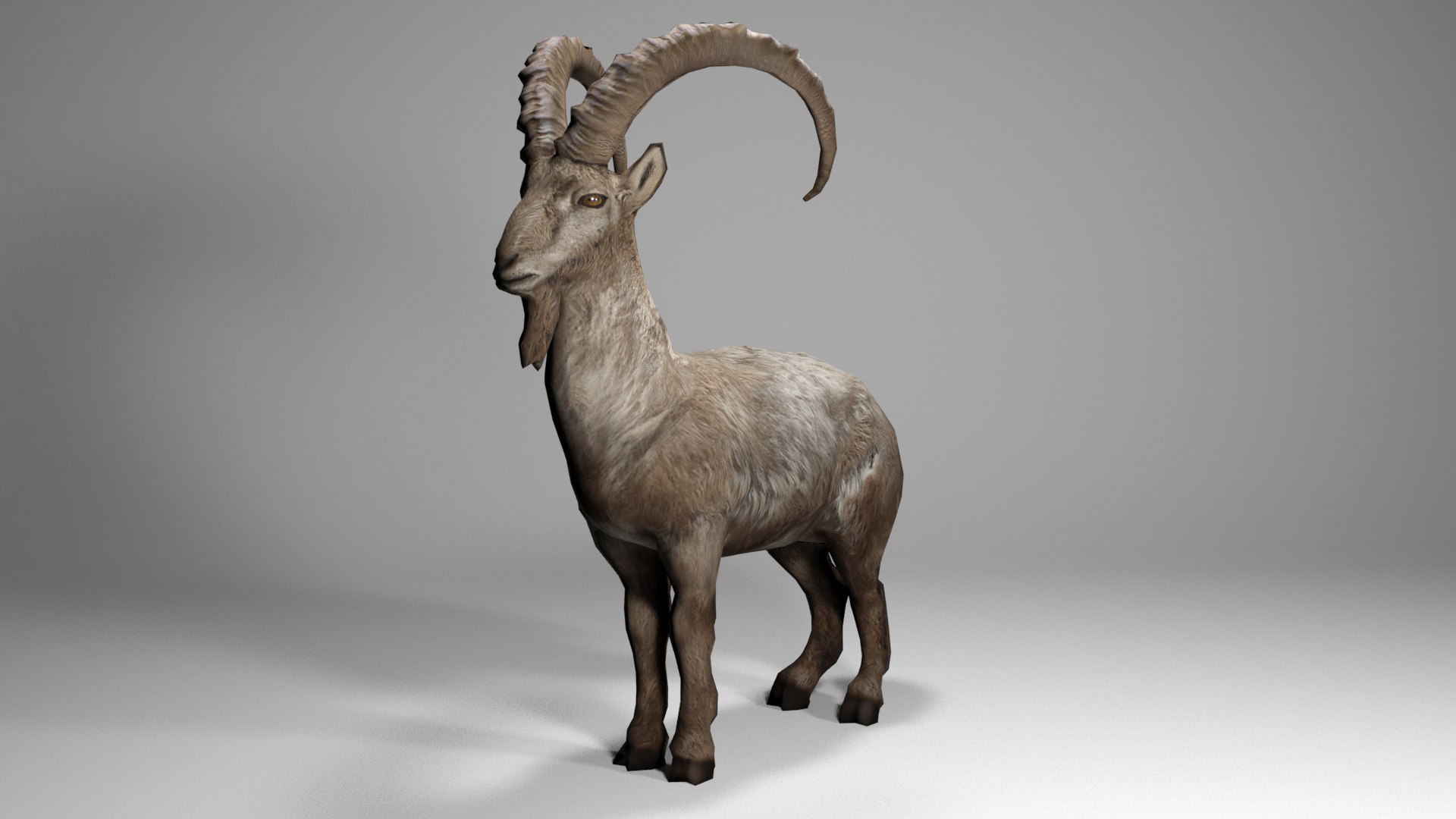 Alpine Ibex 3D - TurboSquid 1913258