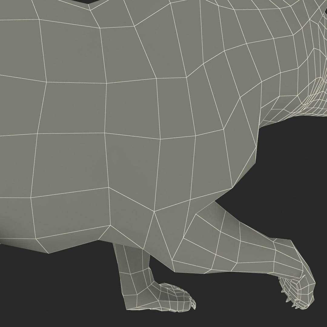 3d Bear Pose 2 Model
