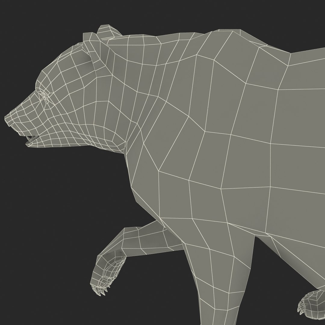 3d Bear Pose 2 Model