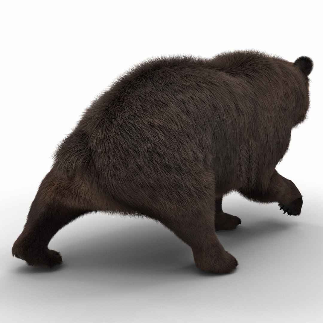 3d Bear Pose 2 Model