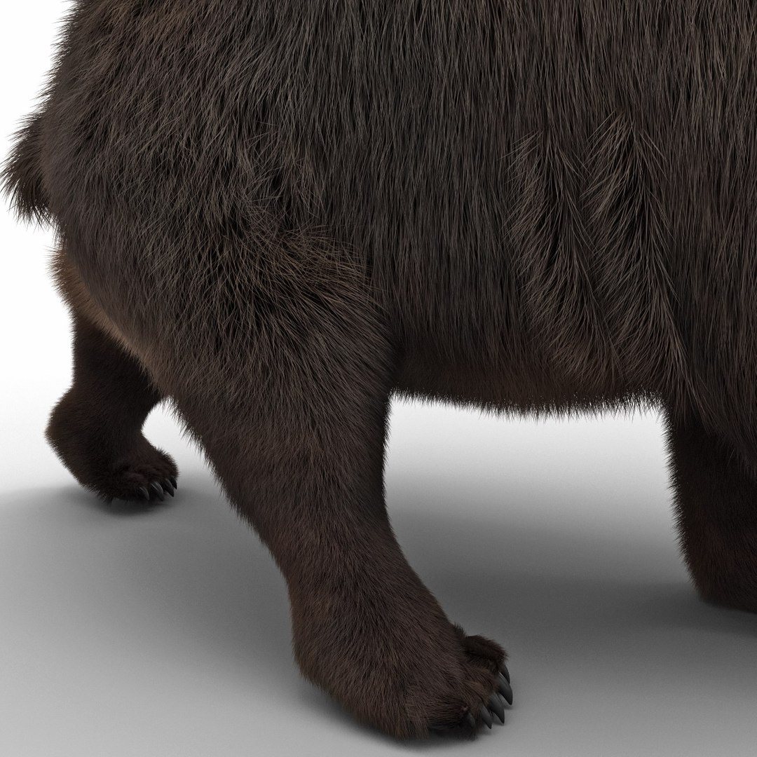 3d Bear Pose 2 Model