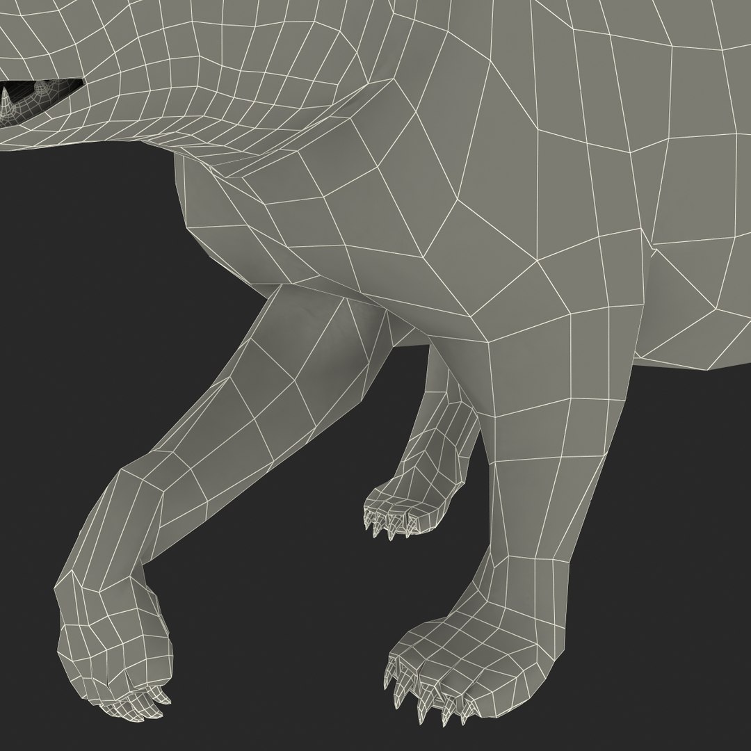 3d Bear Pose 2 Model