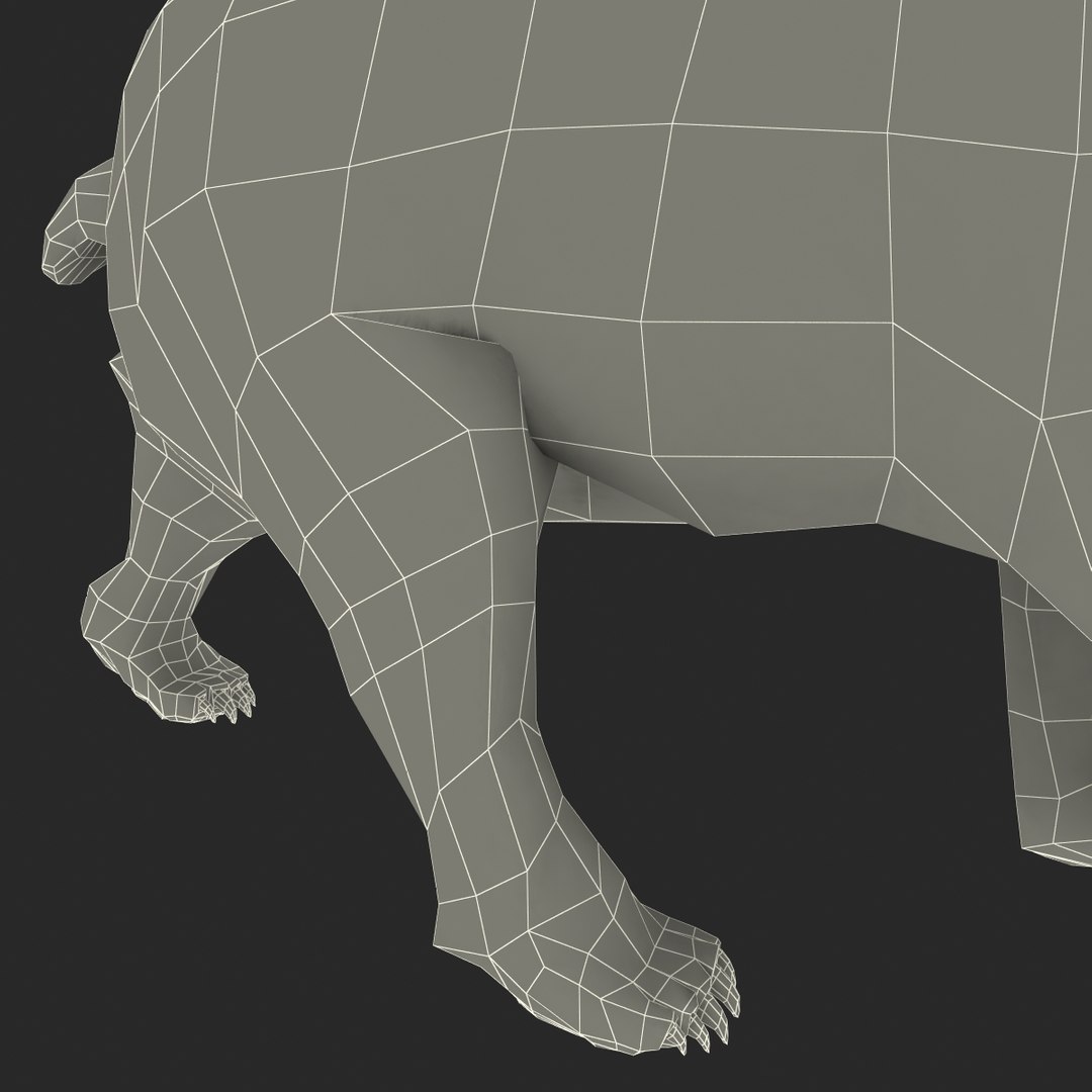 3d Bear Pose 2 Model