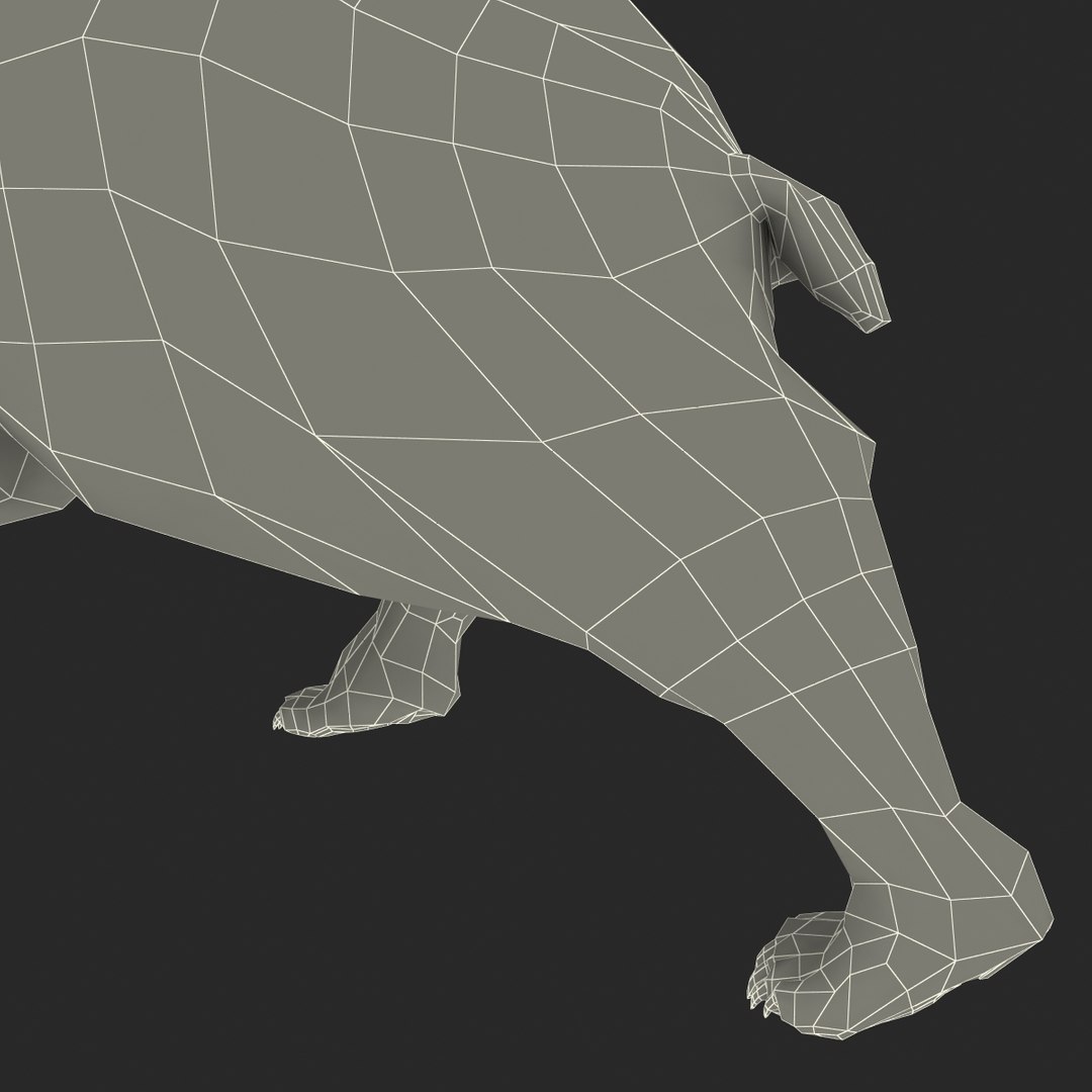 3d Bear Pose 2 Model