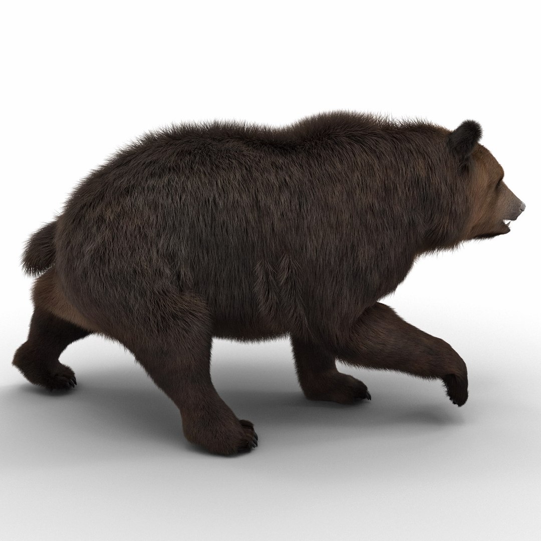 3d Bear Pose 2 Model