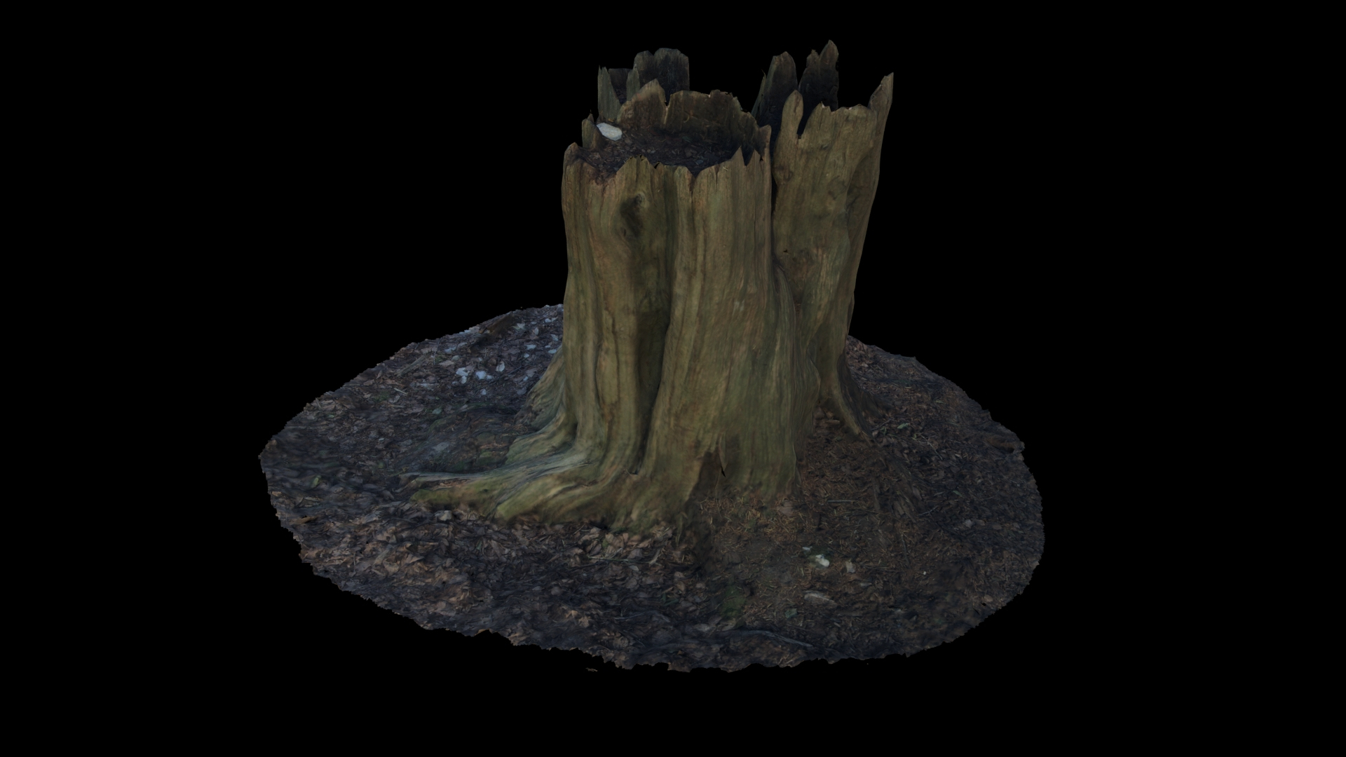 Tree Trunk with Foxhole Photoscan 4K Texture 50K poly 3D model ...