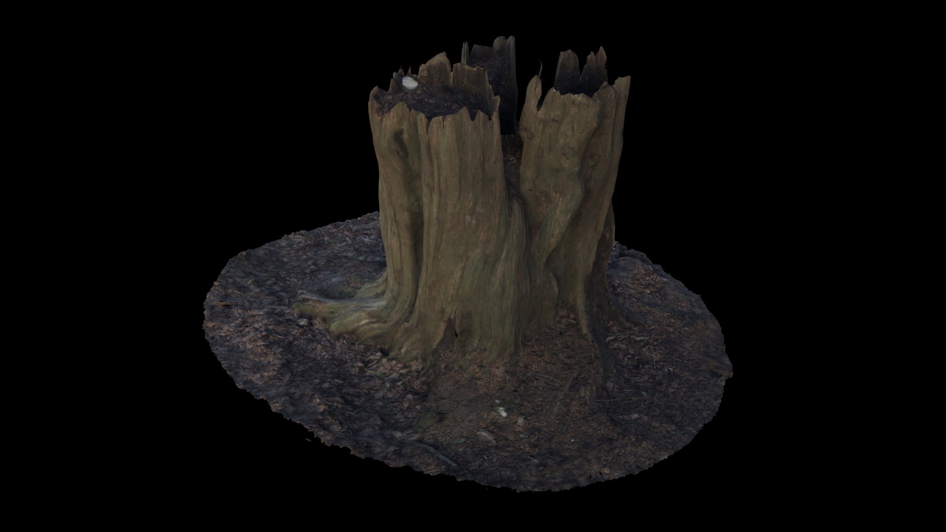 Tree Trunk with Foxhole Photoscan 4K Texture 50K poly 3D model ...