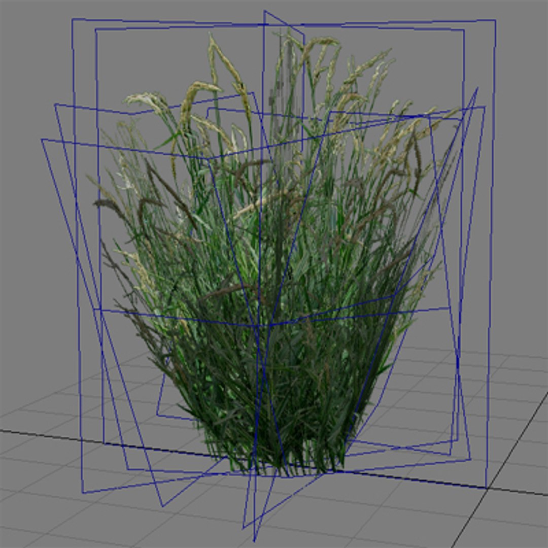 maya pc grass