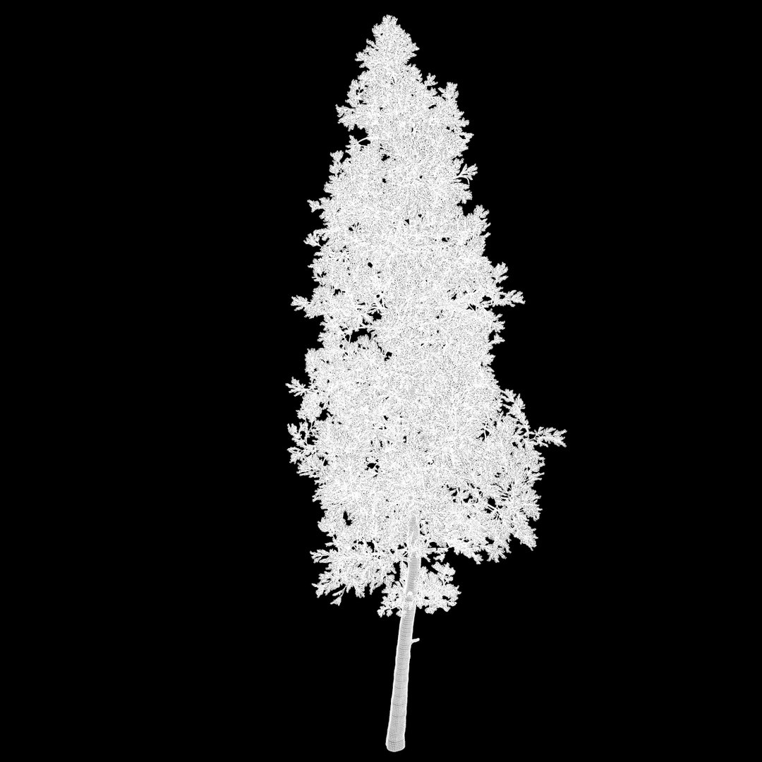 3D Pine Tree Model - TurboSquid 1379397