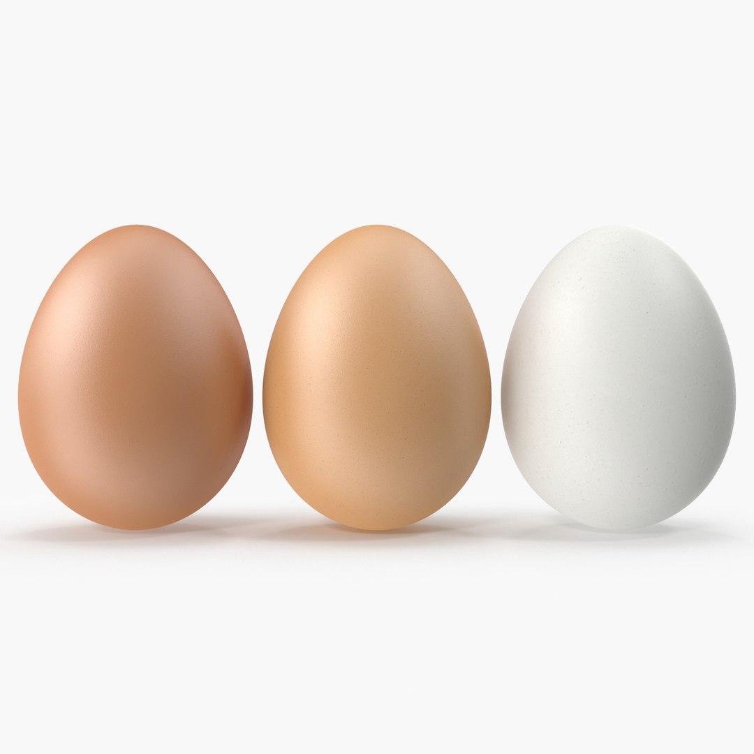 Realistic Eggs 3D Model | 1146327 | TurboSquid
