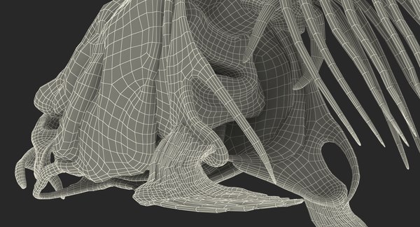 Carp skeleton 3D - TurboSquid 1328426