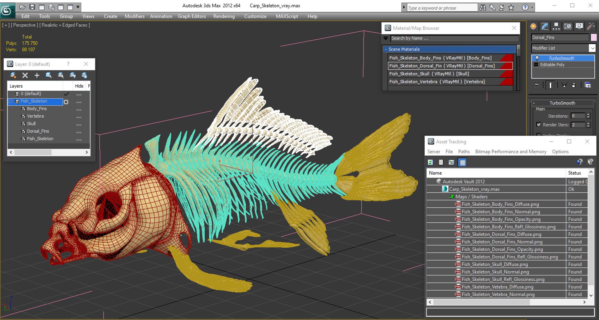 Carp skeleton 3D - TurboSquid 1328426