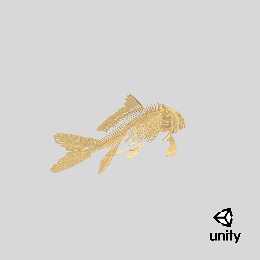 Carp skeleton 3D - TurboSquid 1328426