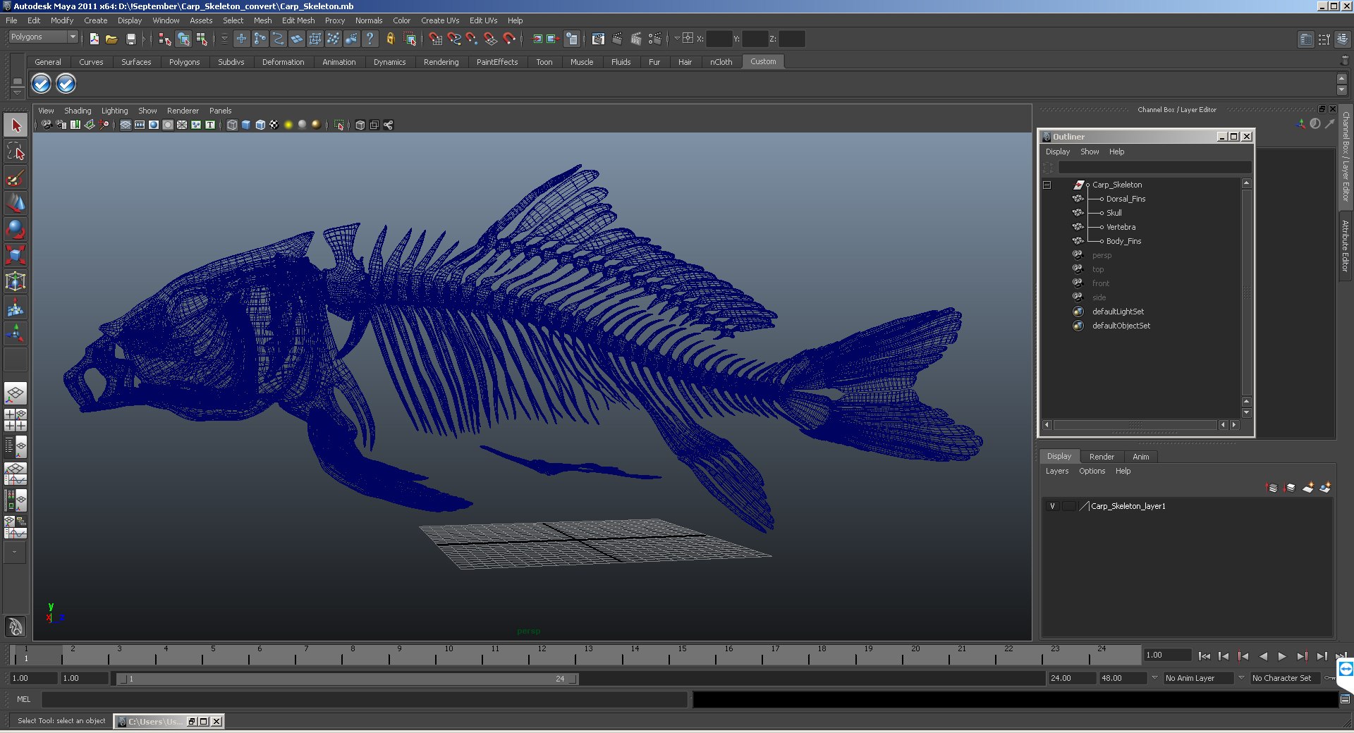 Carp skeleton 3D - TurboSquid 1328426
