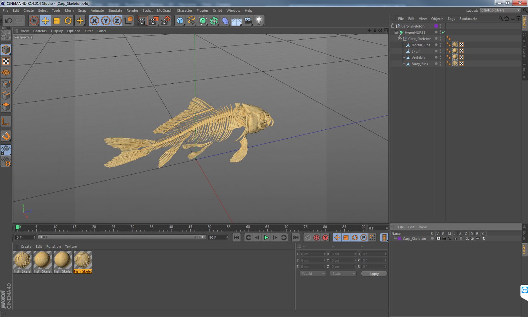 Carp skeleton 3D - TurboSquid 1328426