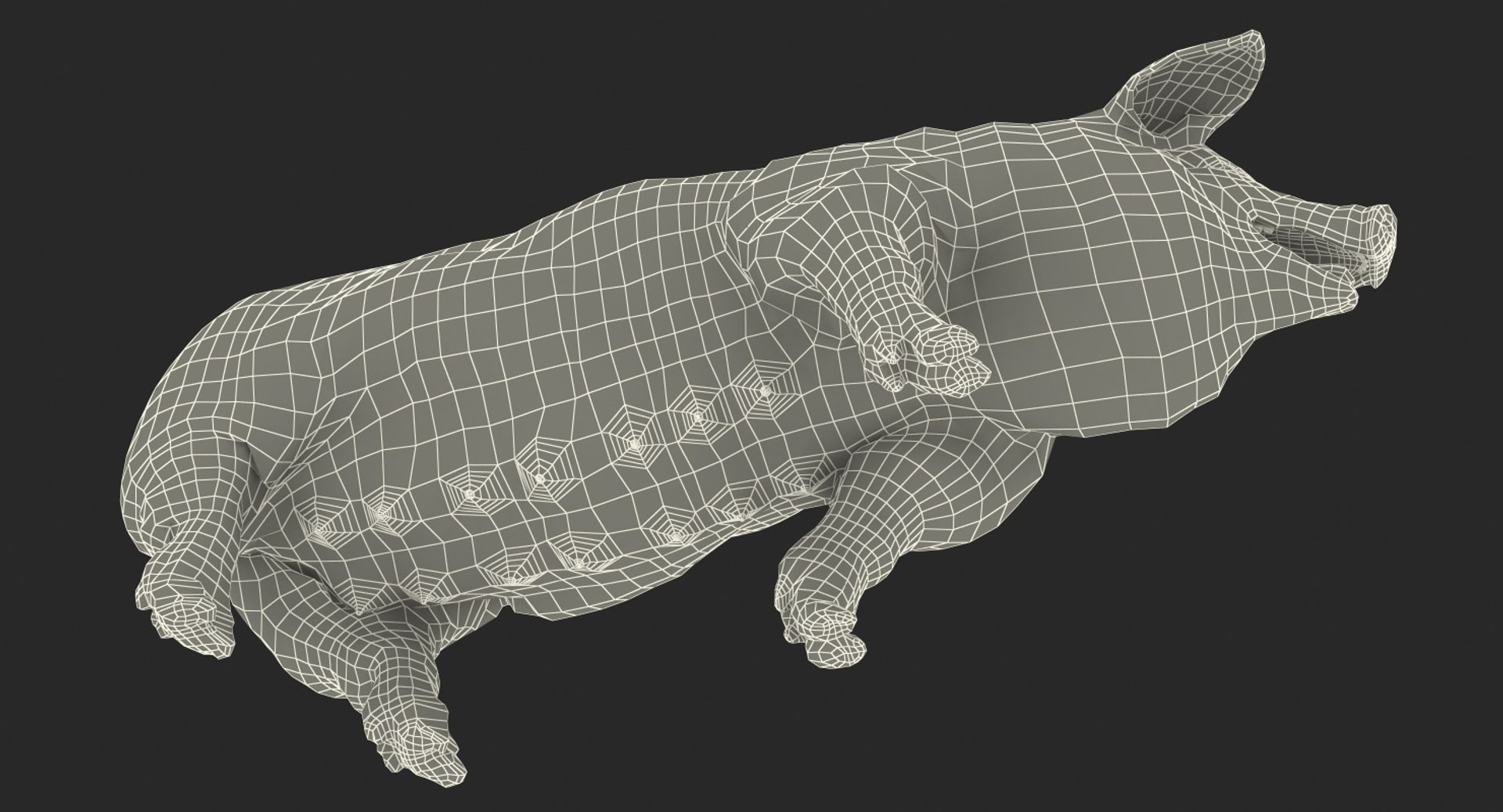 3D Pig Sow Peitrain Walking Model - TurboSquid 1355591