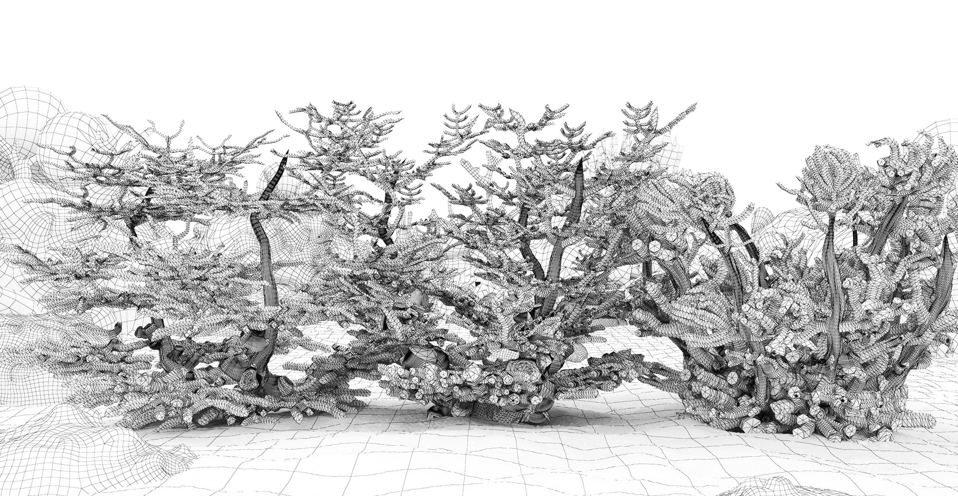 3D Model Coral Reef Marine Life - TurboSquid 2341628