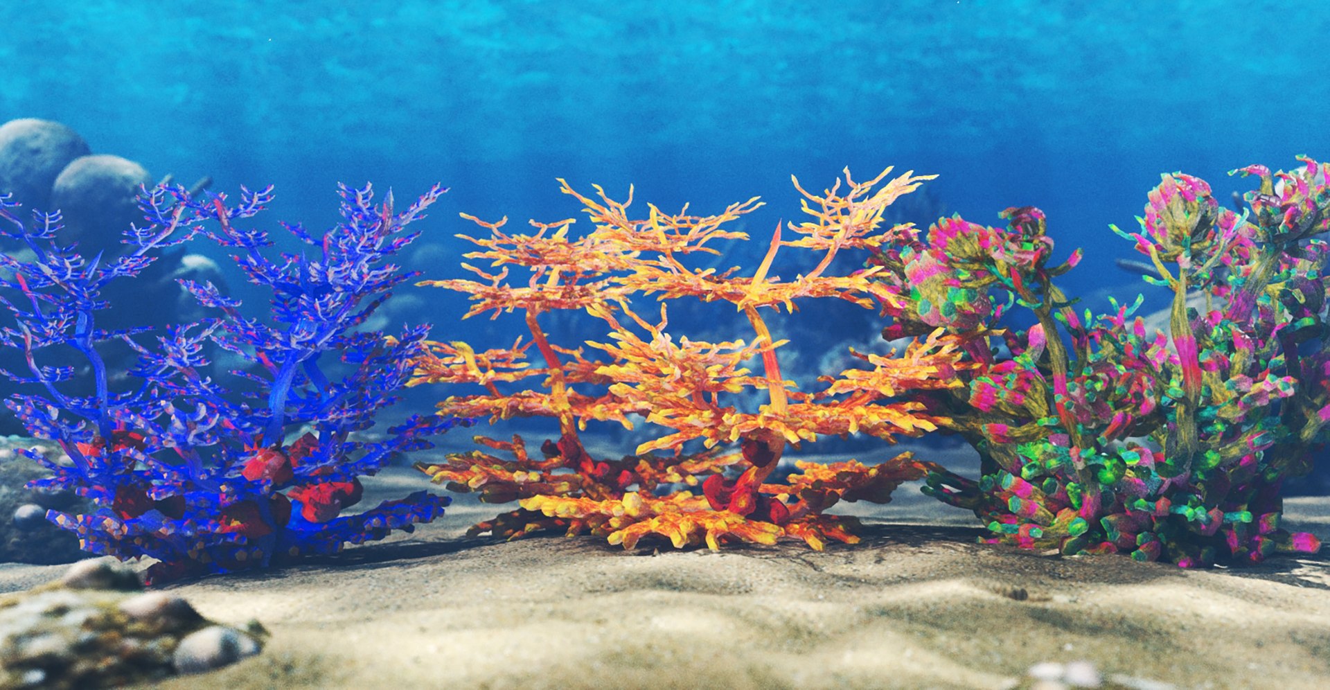 3D Model Coral Reef Marine Life - TurboSquid 2341628