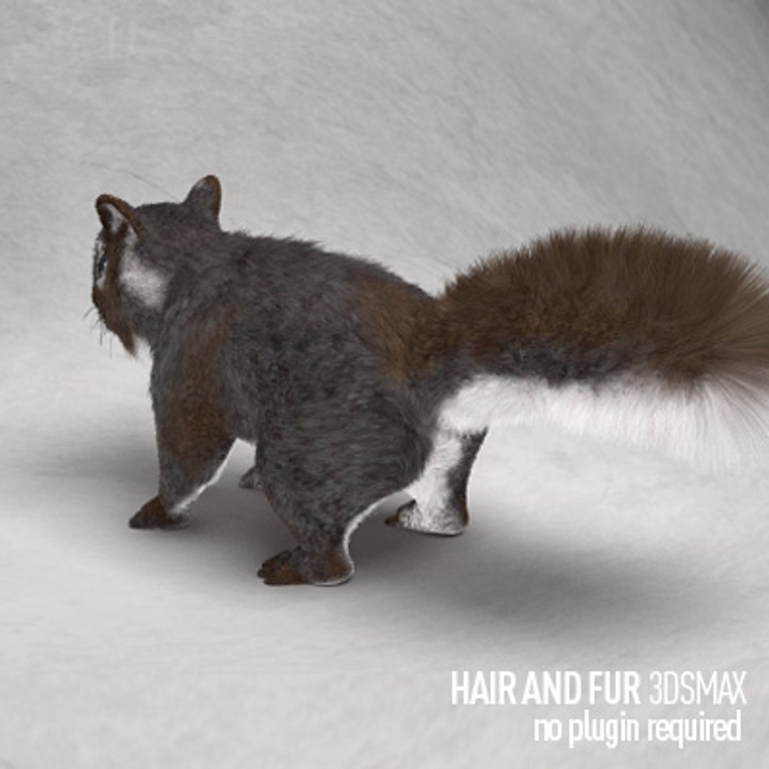 Squirrel Fur - 3ds