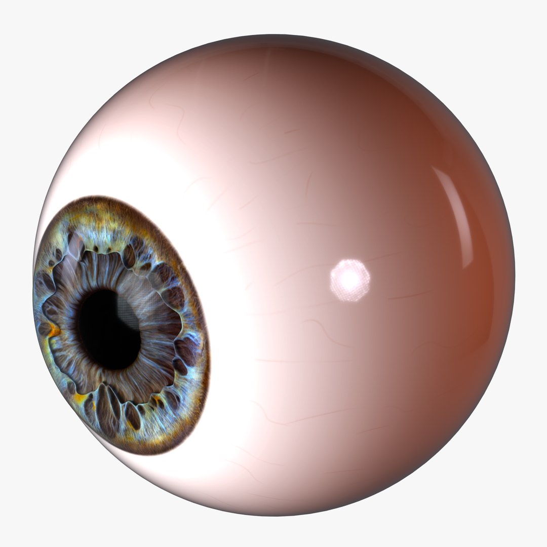 3D Eye Detailed - TurboSquid 2040161