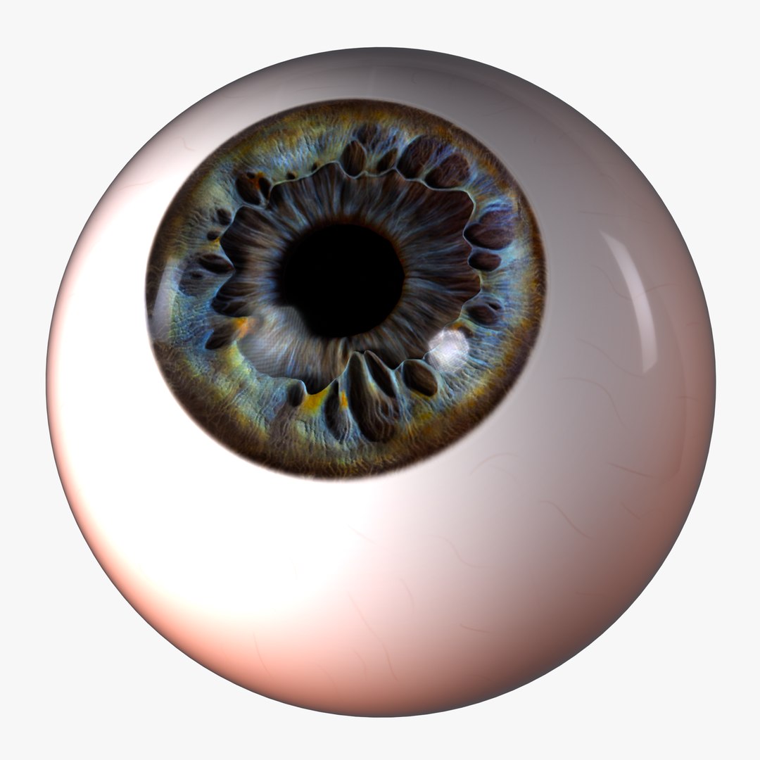 3D Eye Detailed - TurboSquid 2040161