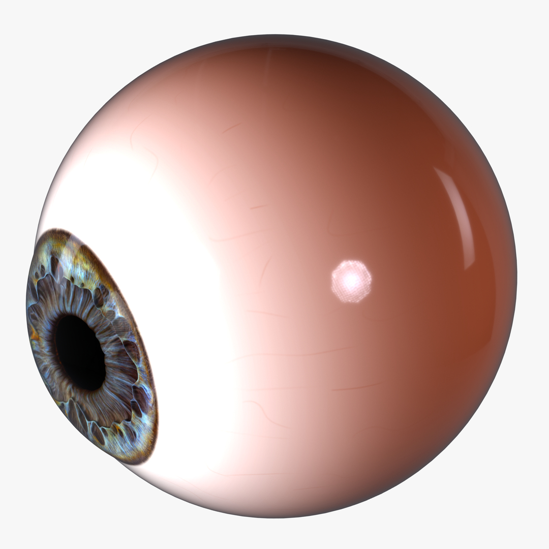 3D Eye Detailed - TurboSquid 2040161