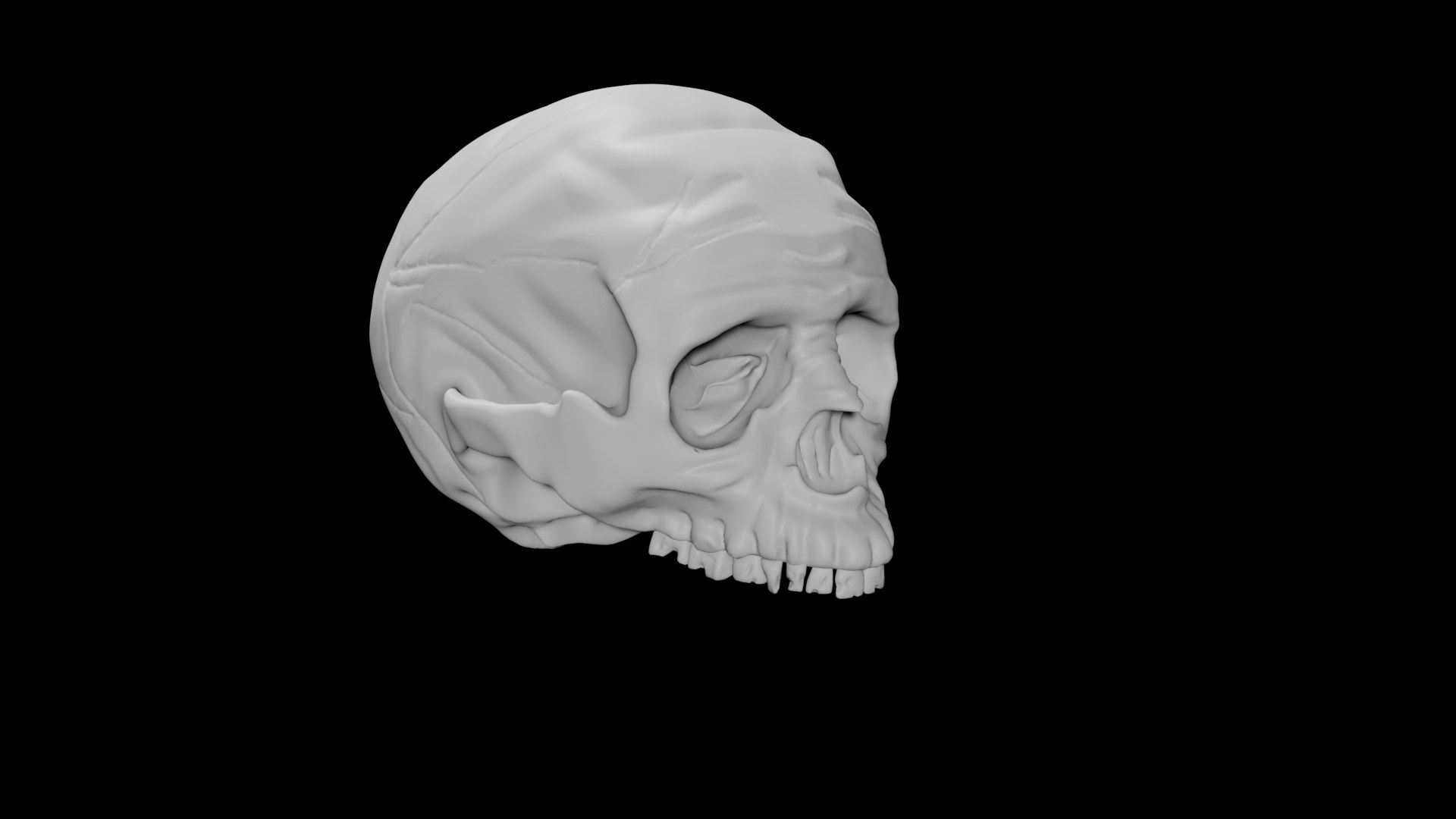 3D Model Skull - TurboSquid 1844864