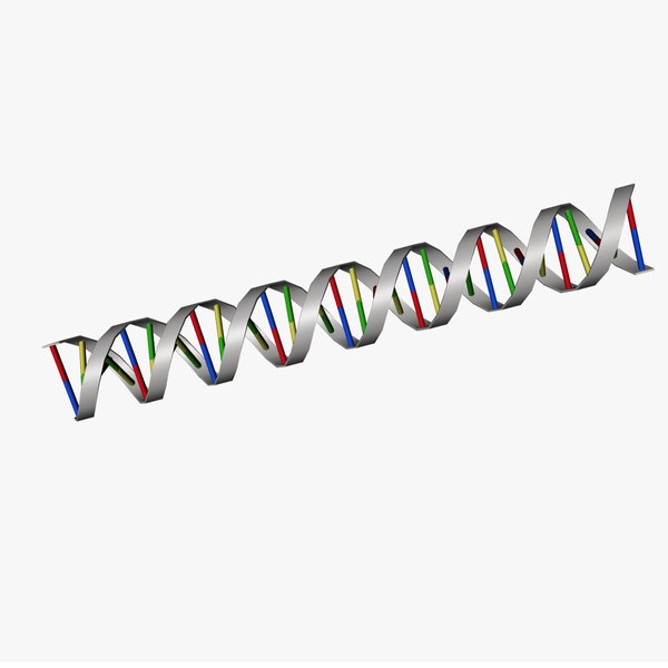 c4d dna