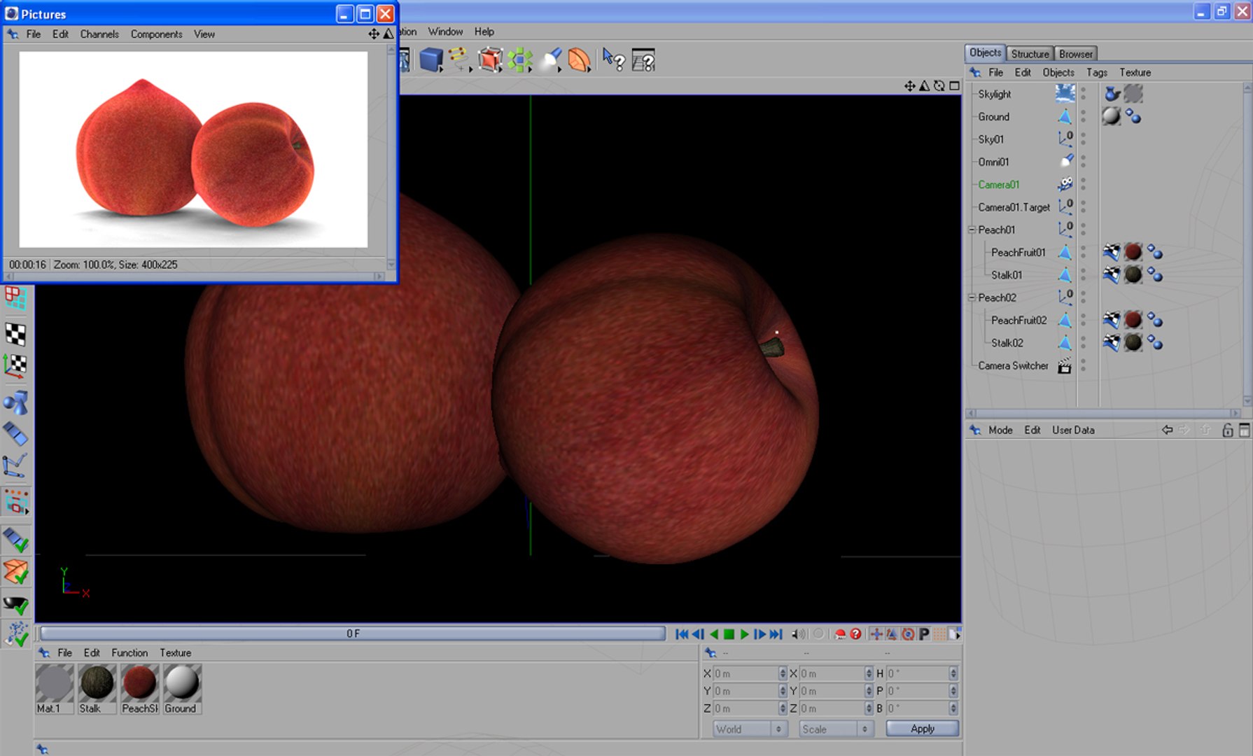 3d Photo Realistic Peach Model