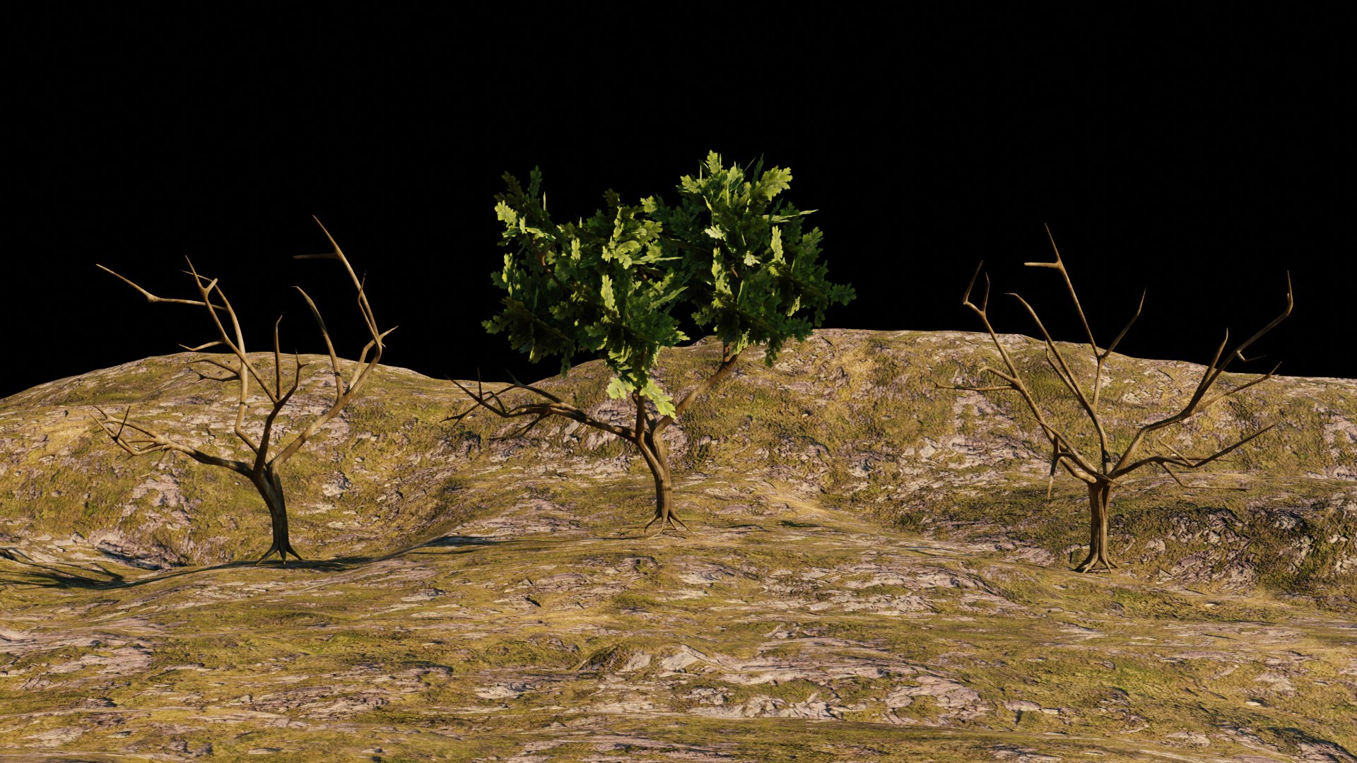 3D Low-poly Tree Collection - TurboSquid 1909110