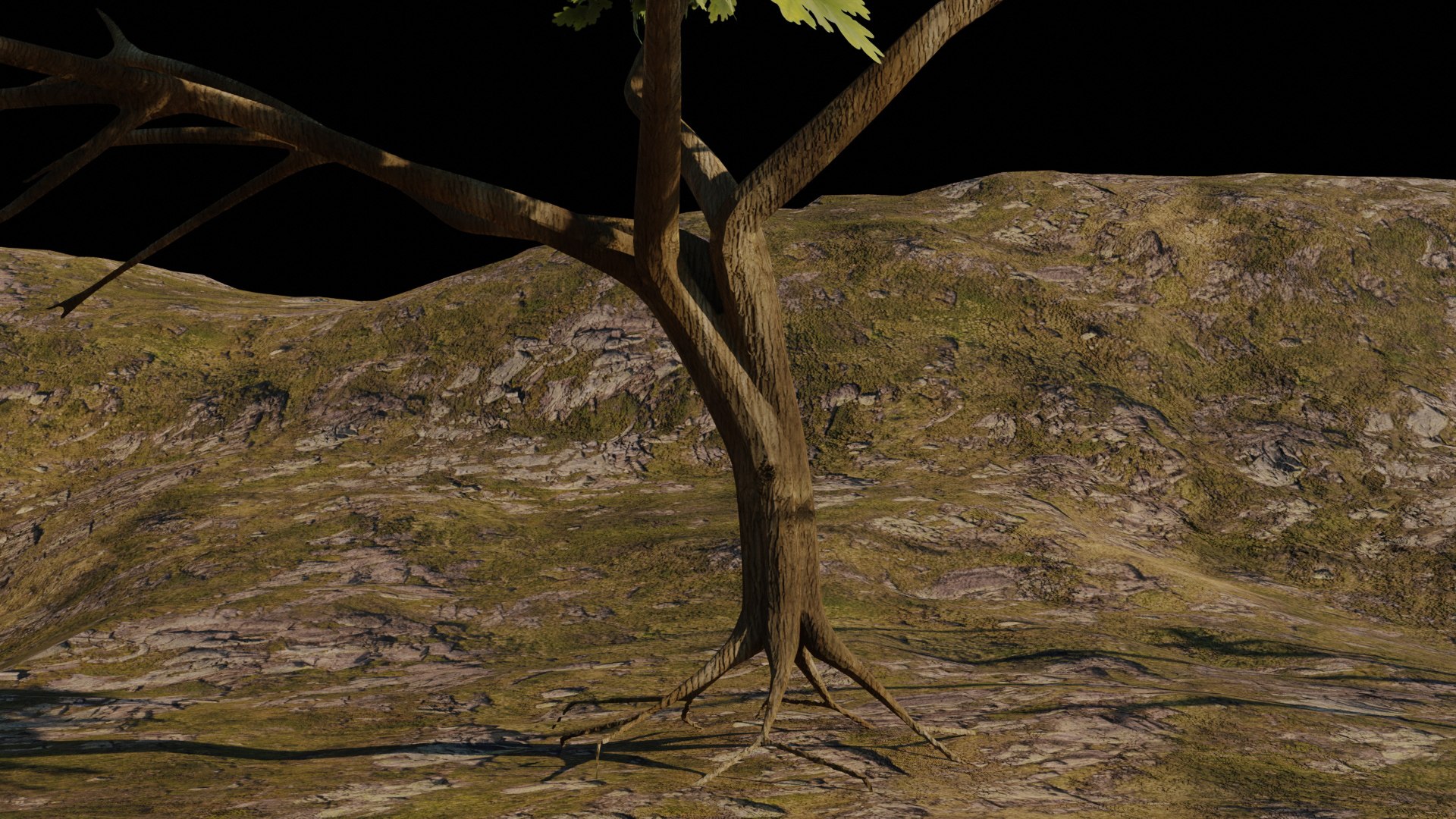 3D Low-poly Tree Collection - TurboSquid 1909110