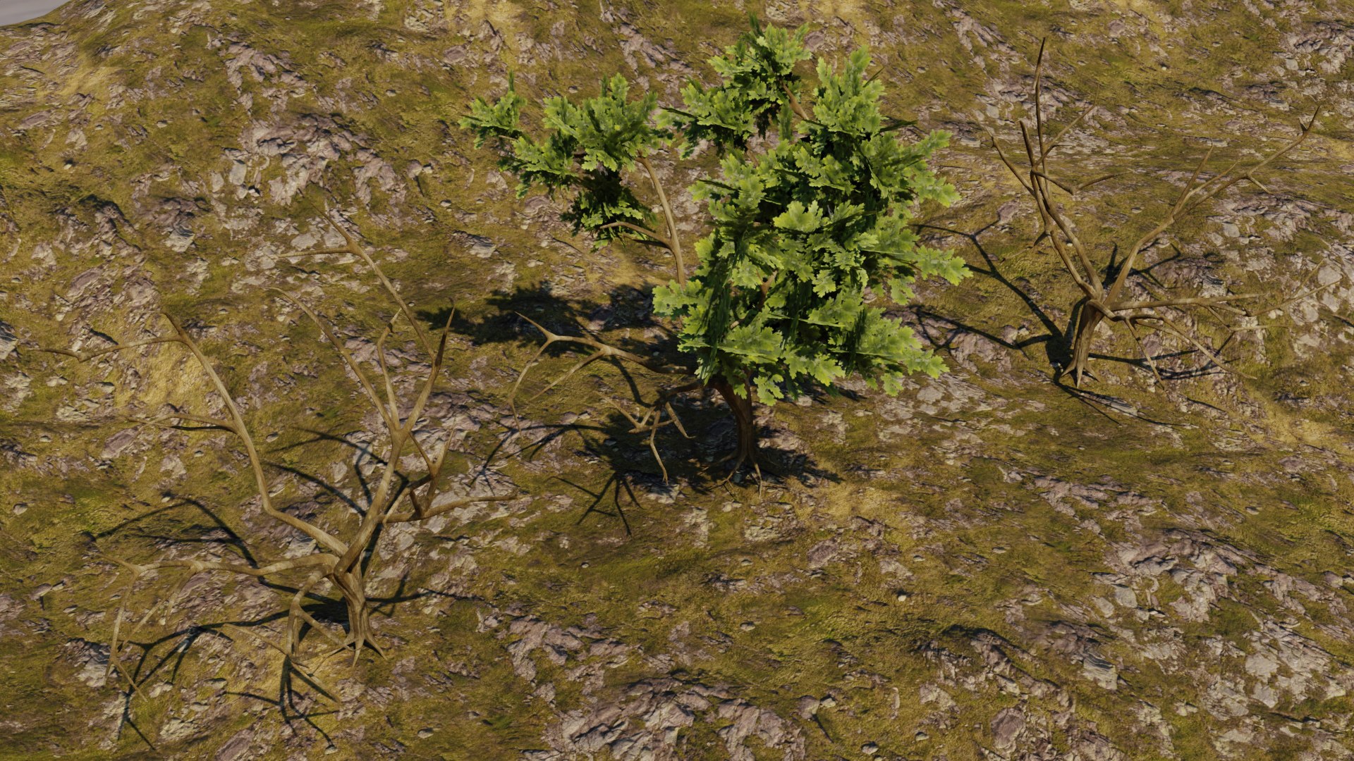 3D Low-poly Tree Collection - TurboSquid 1909110