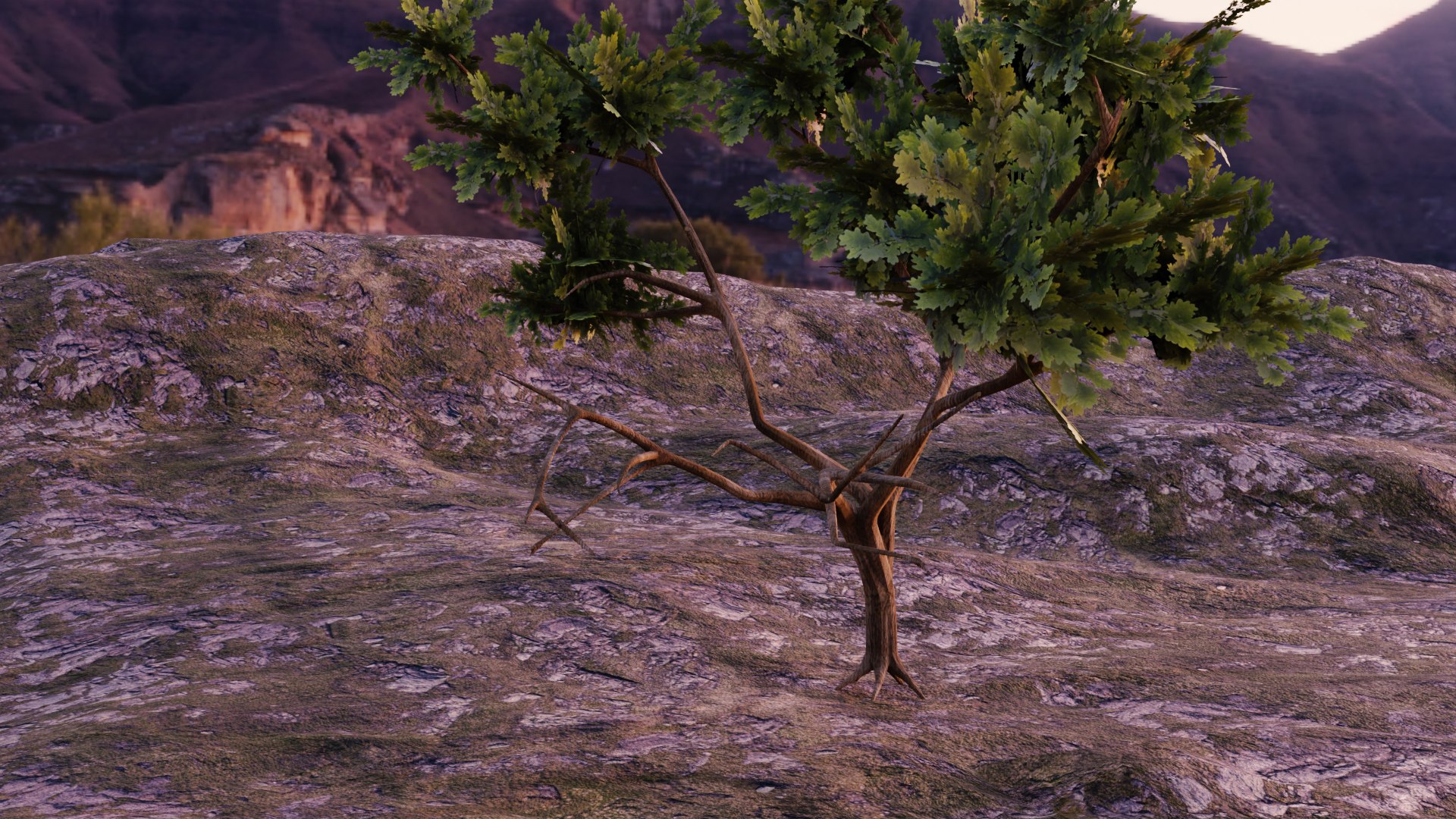 3D Low-poly Tree Collection - TurboSquid 1909110