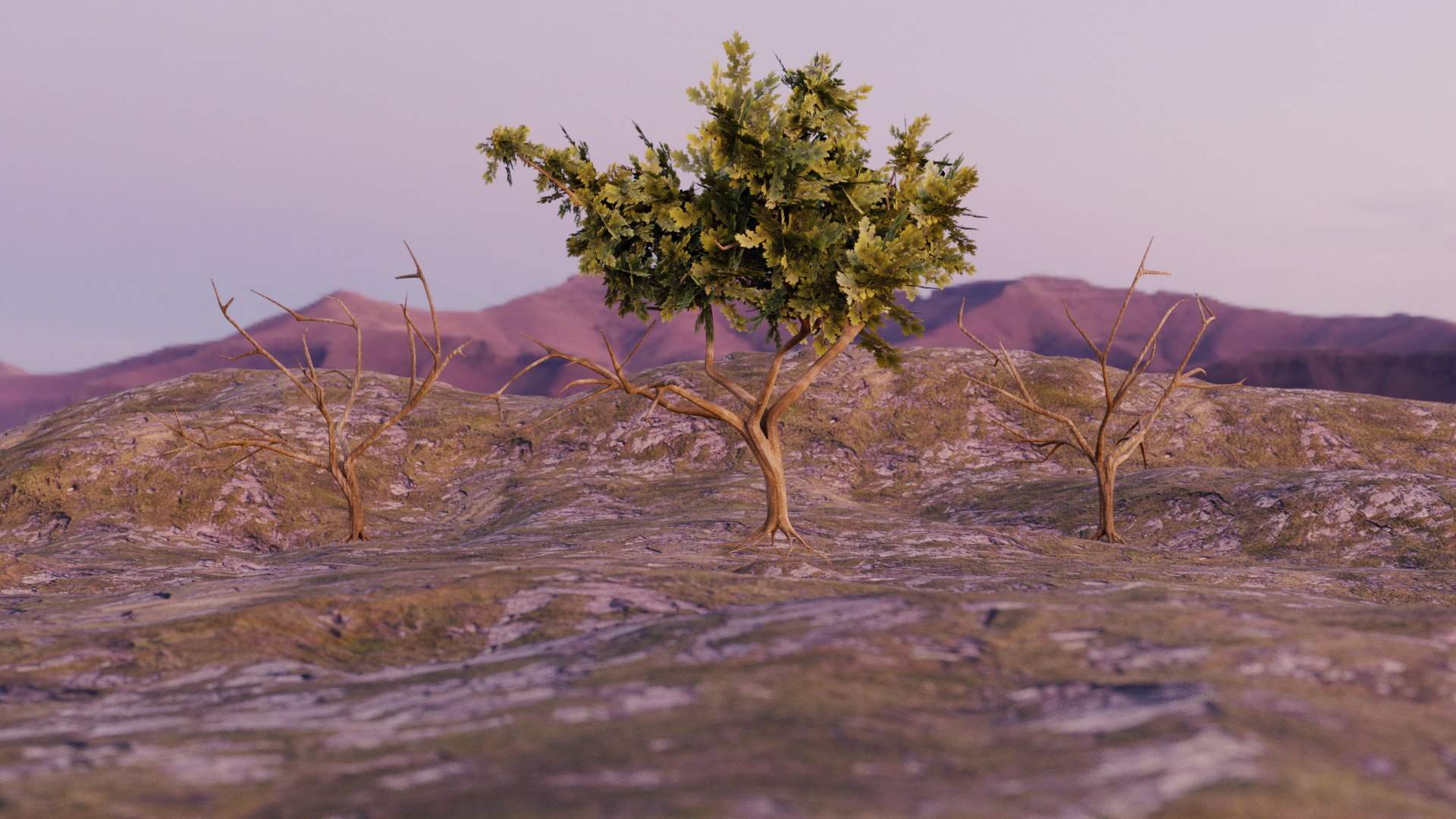 3D Low-poly Tree Collection - TurboSquid 1909110