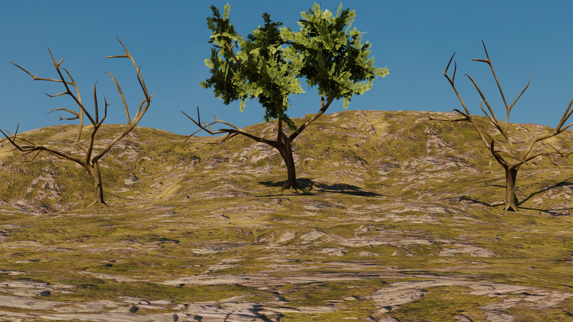 3D Low-poly Tree Collection - TurboSquid 1909110