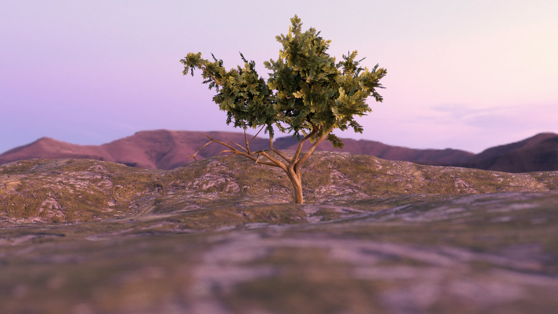 3D Low-poly Tree Collection - TurboSquid 1909110