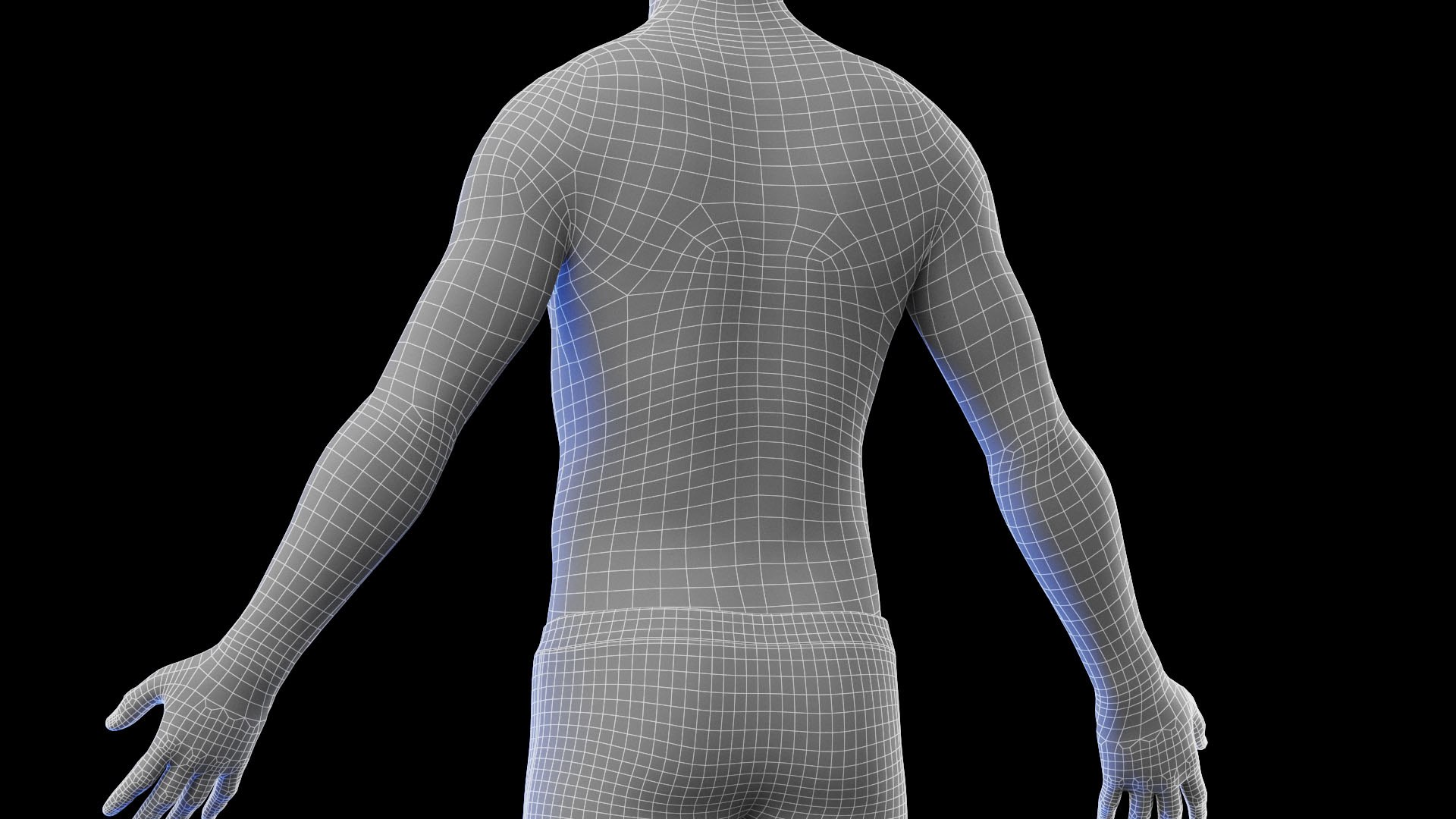 3D Human Male Body and Lymphatic Systems - TurboSquid 2012836