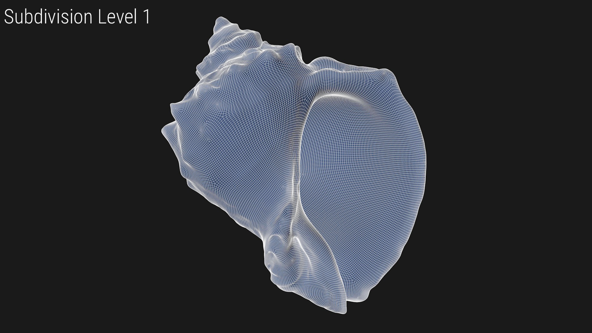 Seashell 01 Model - TurboSquid 1770742