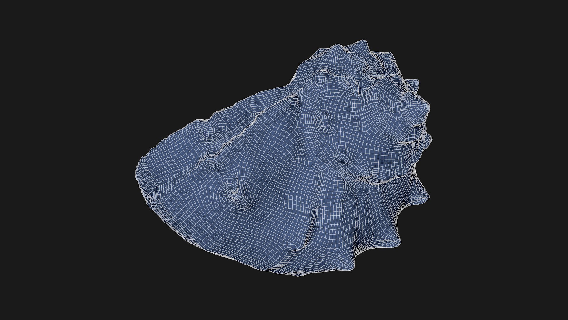 Seashell 01 Model - TurboSquid 1770742