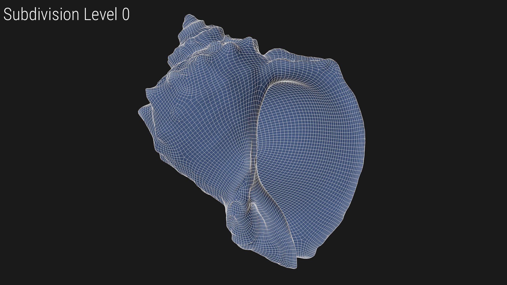 Seashell 01 Model - TurboSquid 1770742