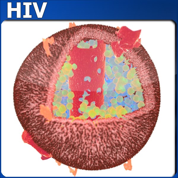 HIV Cell 3D Models for Download | TurboSquid